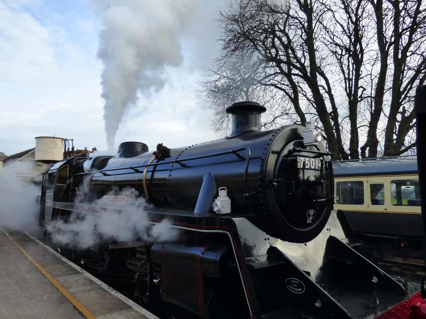 Steam Train Travel Through Devon - Luxurious Nomad ~ Ms Bella St John