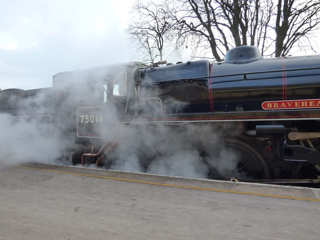 Steam Train Travel Through Devon - Luxurious Nomad ~ Ms Bella St John