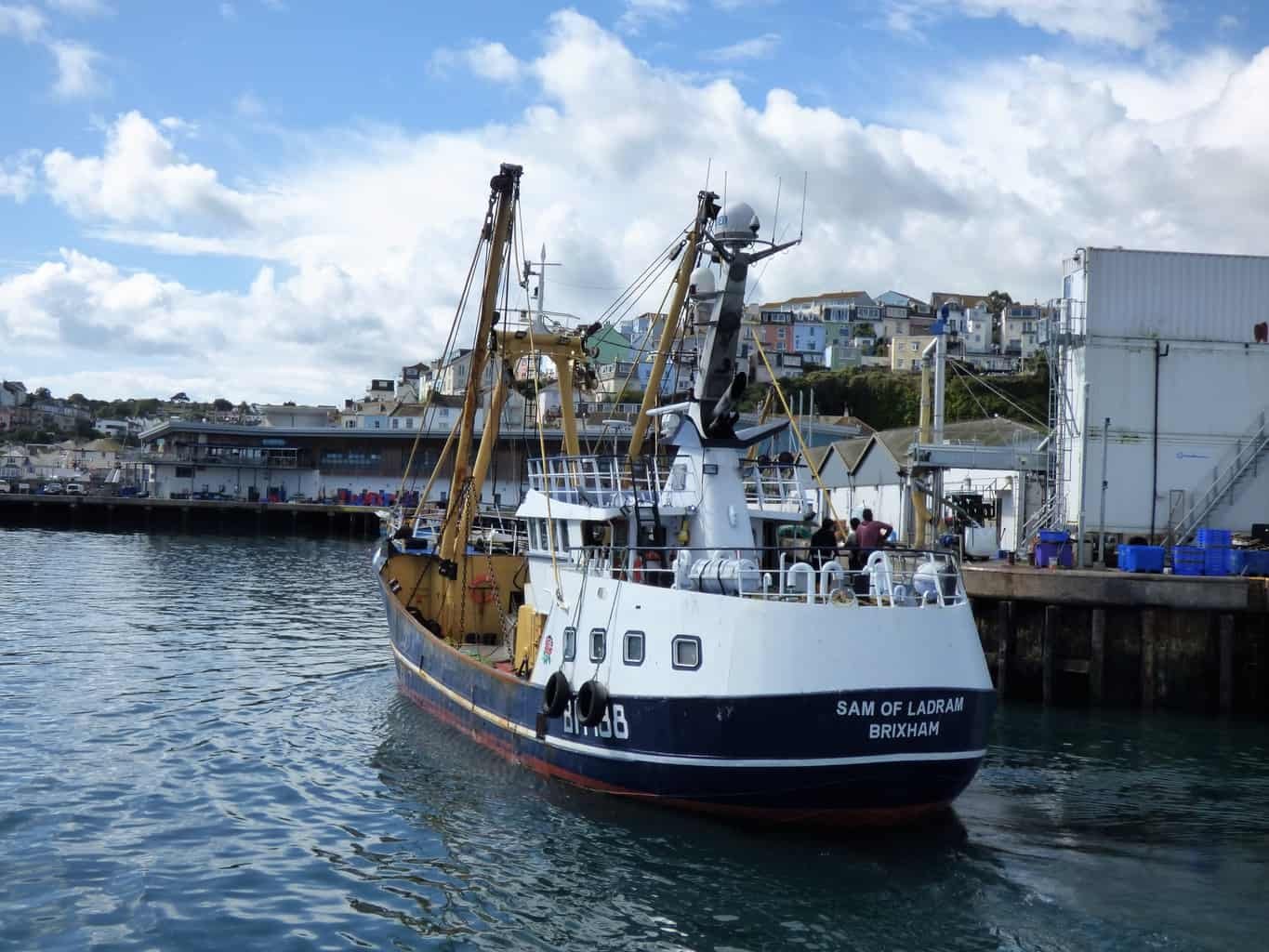 Brixham by Boat - Luxurious Nomad