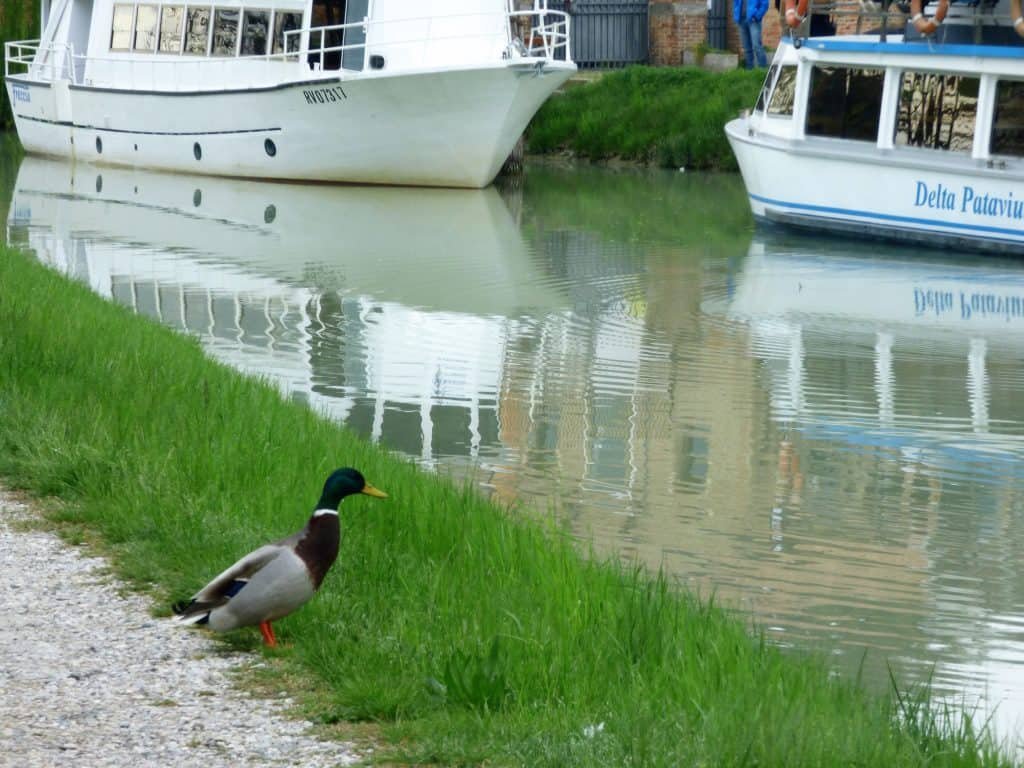 Exploring Padua... - Luxurious Nomad