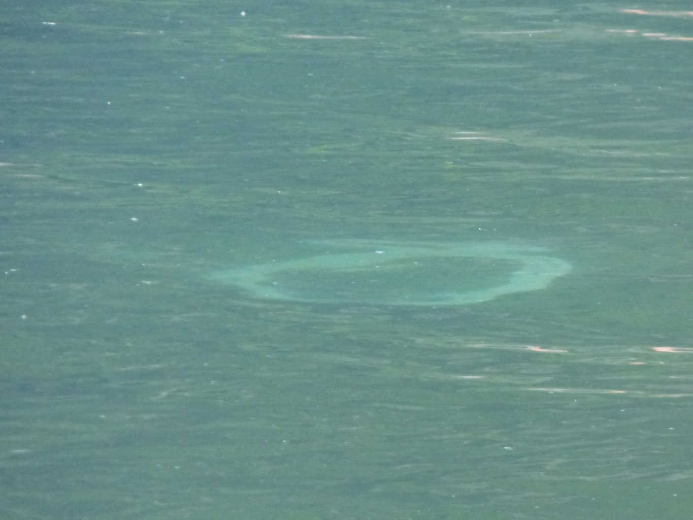 Riva Boats trip and factory tour on Lake Iseo, Italy - Luxurious Nomad