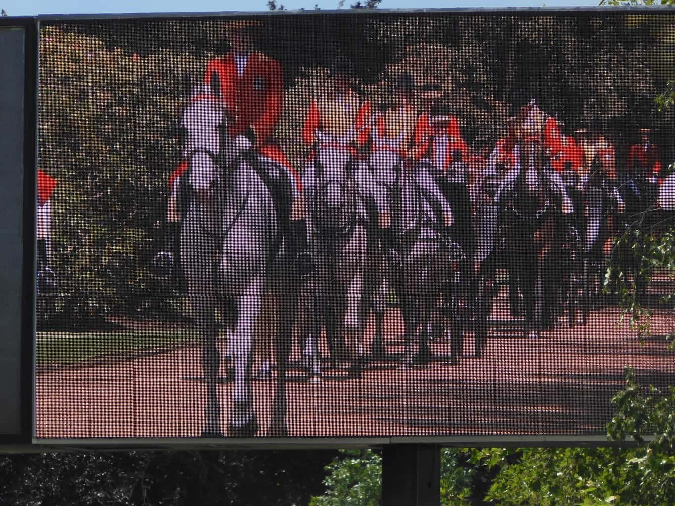 Royal Enclosure at Royal Ascot - Luxurious Nomad