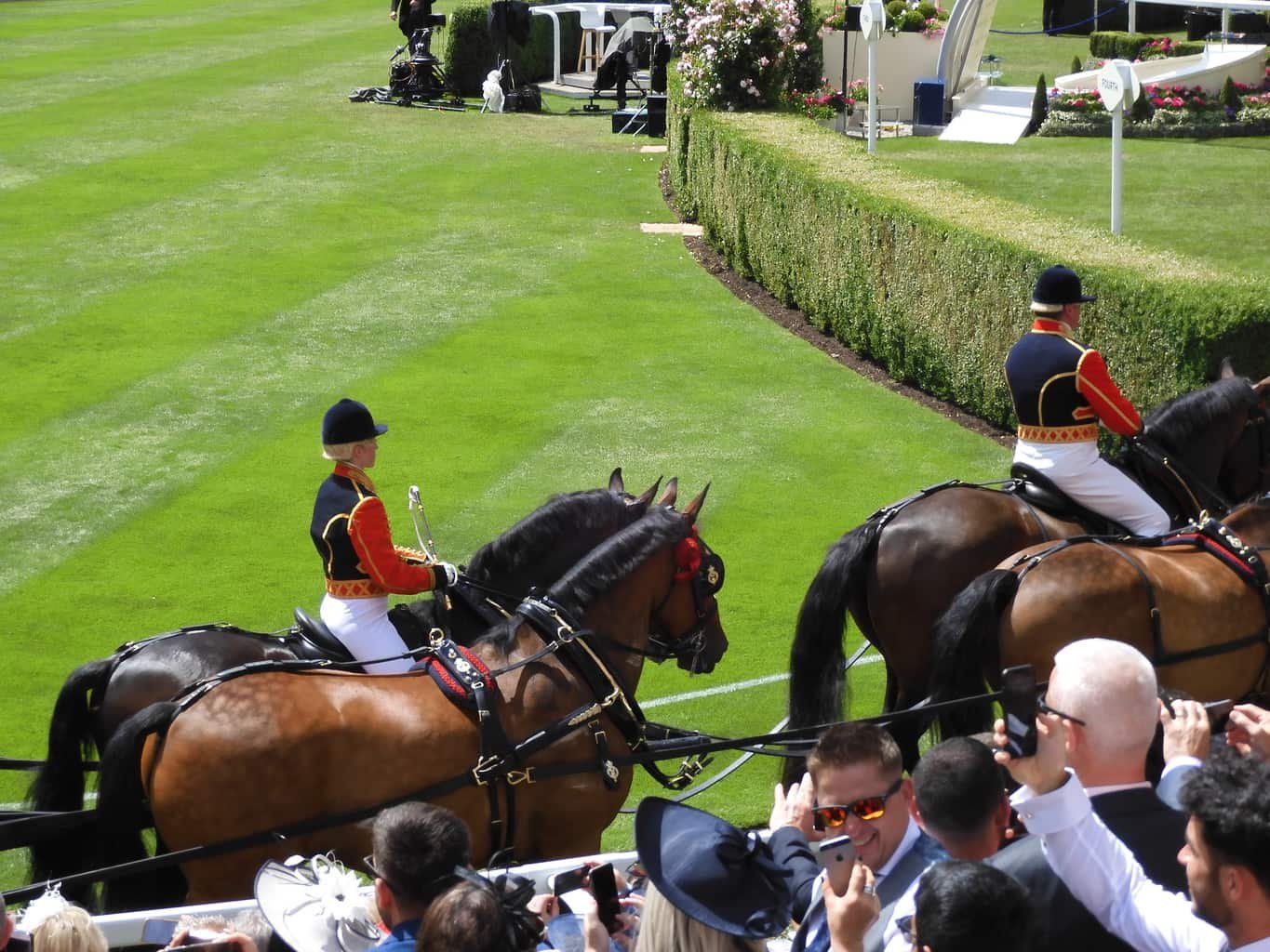 Royal Enclosure at Royal Ascot - Luxurious Nomad
