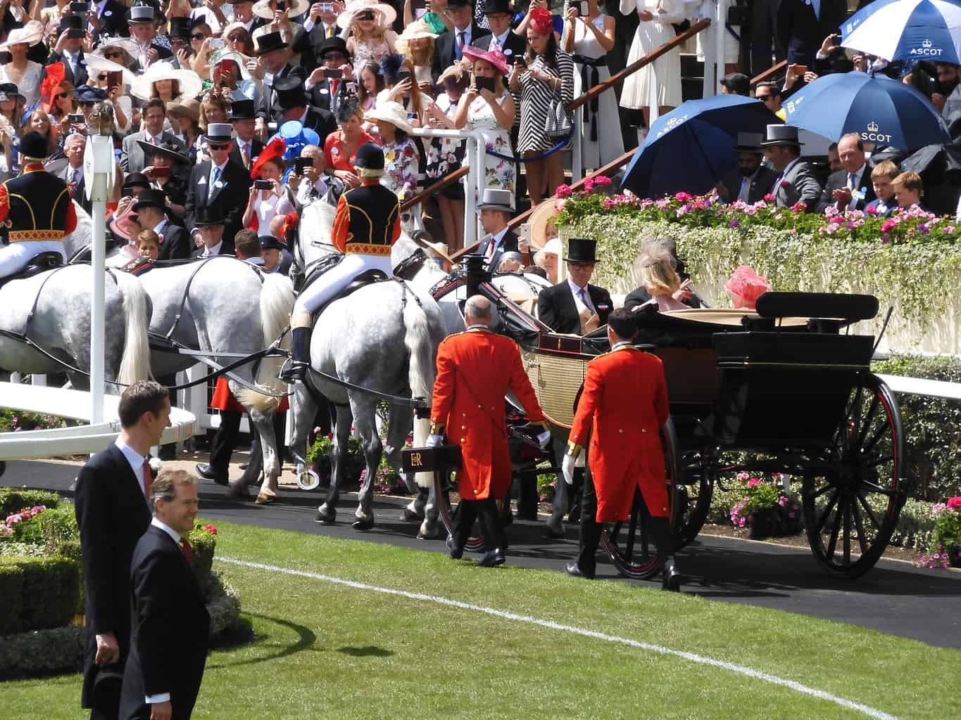 Royal Enclosure at Royal Ascot - Luxurious Nomad