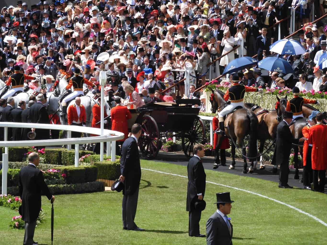 Royal Enclosure at Royal Ascot - Luxurious Nomad