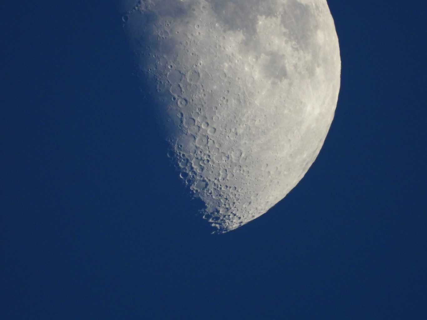 SpaceX makes history - Luxurious Nomad ~ Ms Bella St John